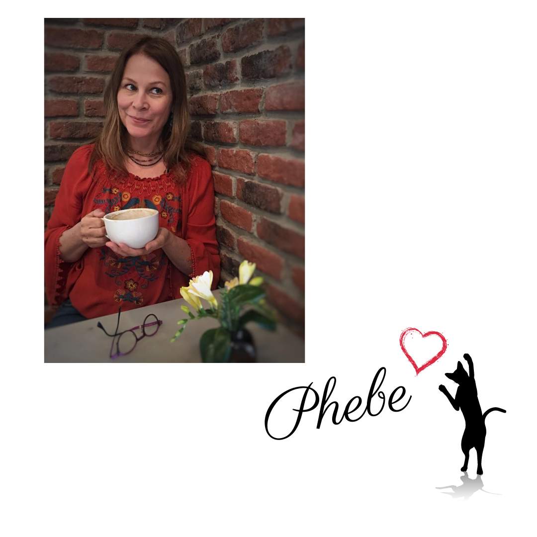 About The Literary Catcast Podcast - The Literary Catcast Podcast